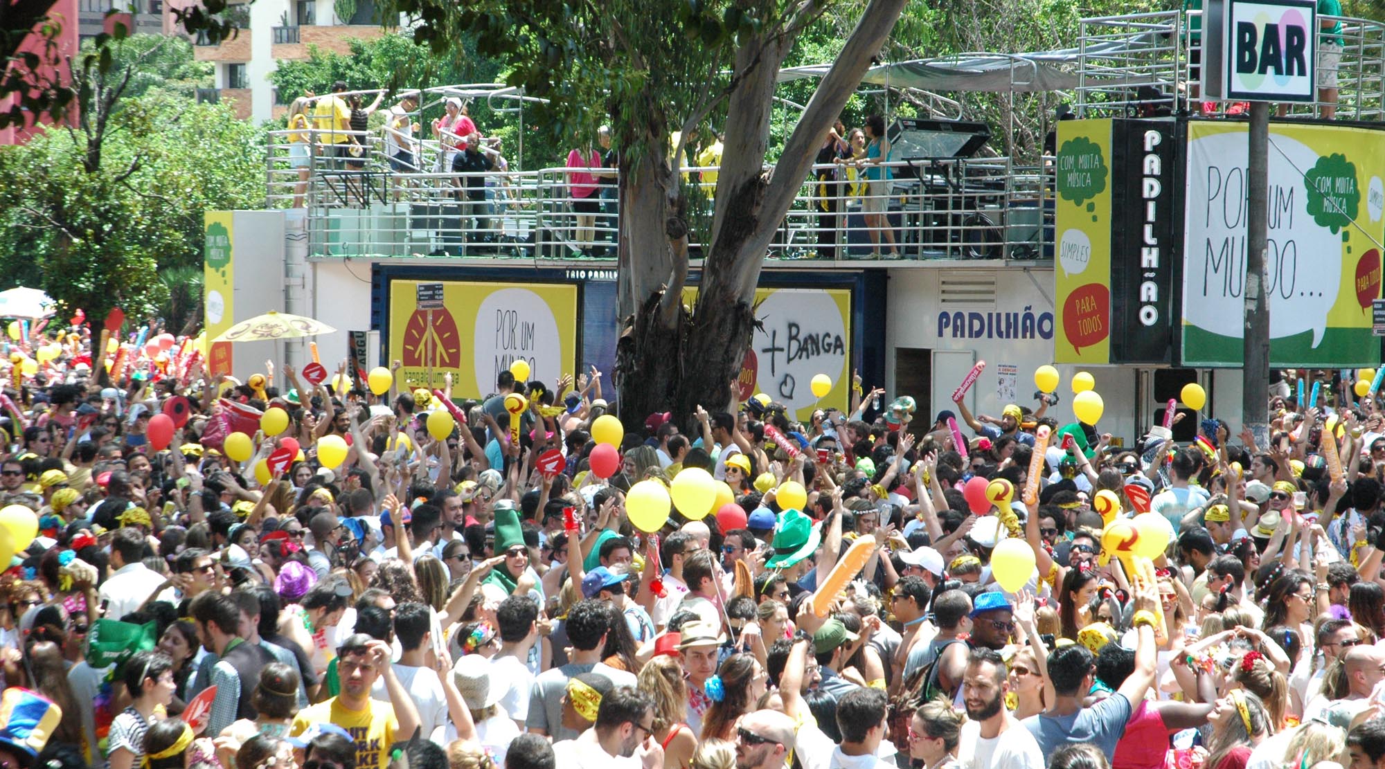 Carnaval-de-rua-em-Sao-Paulo-foto-Luiz-Guadagnoli-Secom-PMSP-07-02-2015 ...