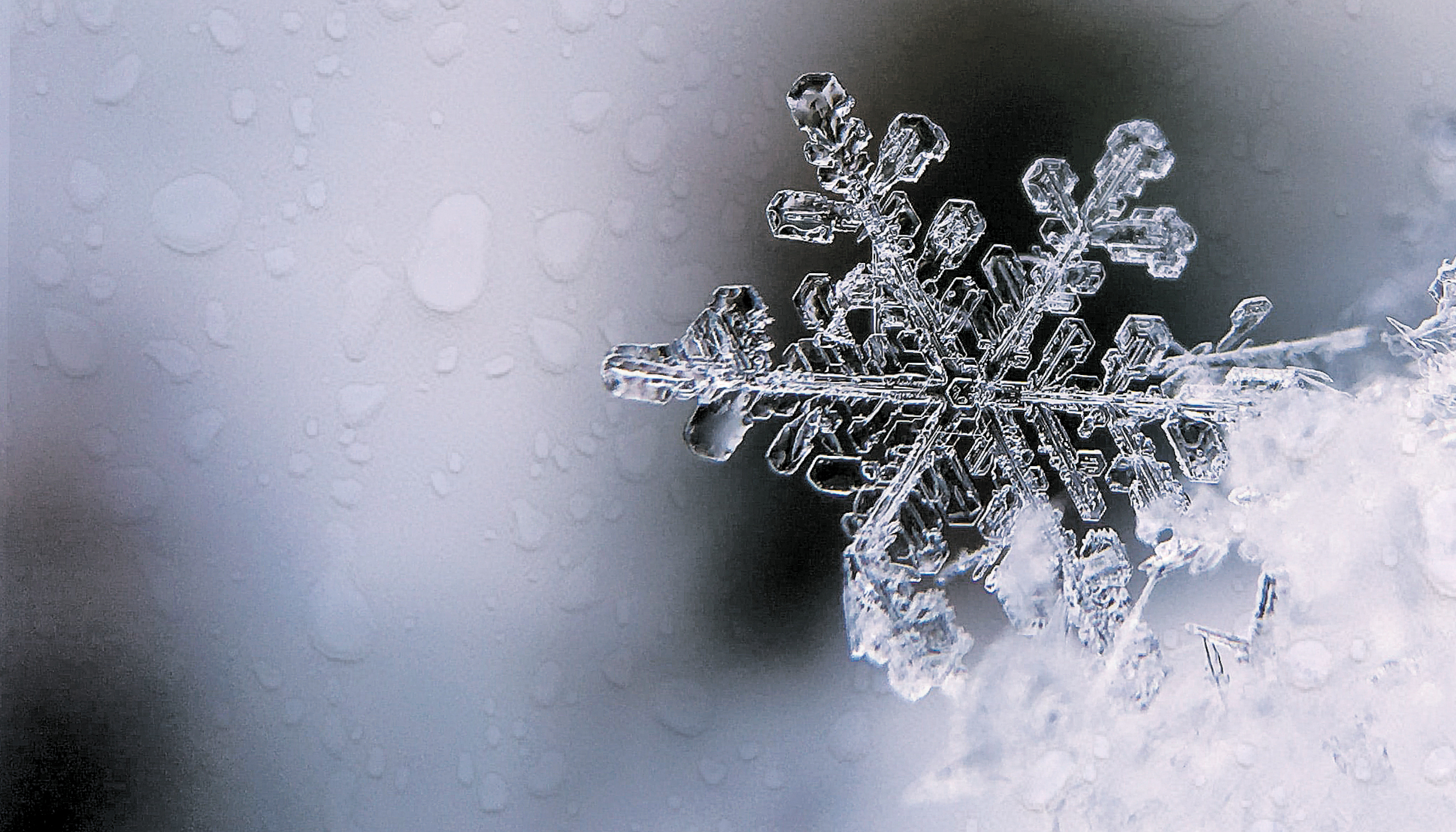 Os fenômenos meteorológicos do frio - Jornal Joca
