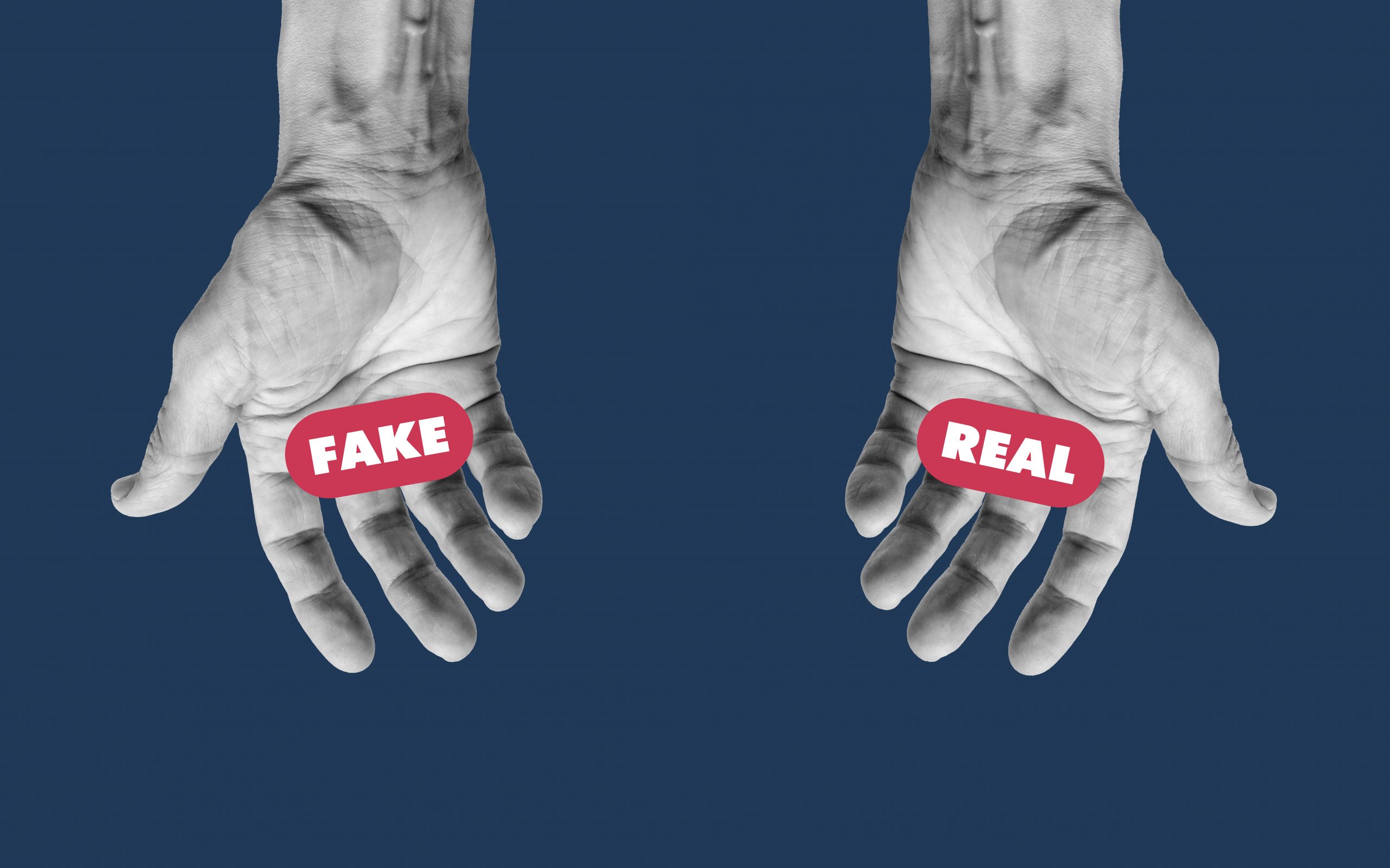 Falso ou real - Jornal Joca